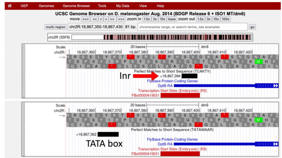 Solved Q12. ﻿Are there any perfect matches to the Inr | Chegg.com