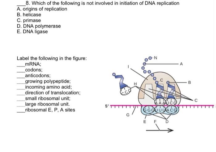 Solved 8. Which of the following is not involved in | Chegg.com