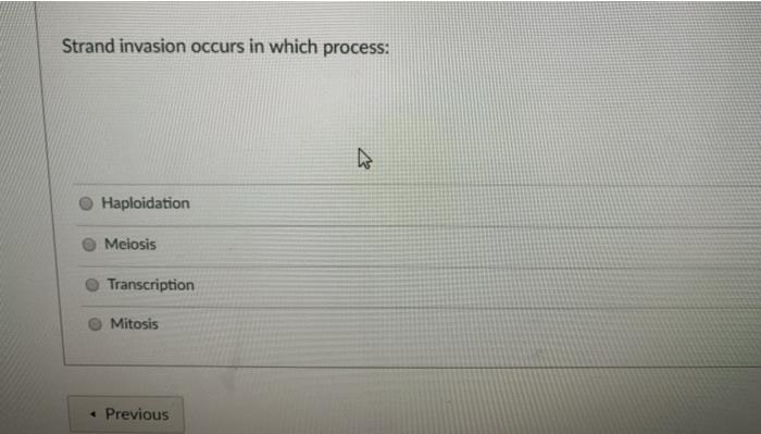 Solved Strand invasion occurs in which process: Haploidation | Chegg.com