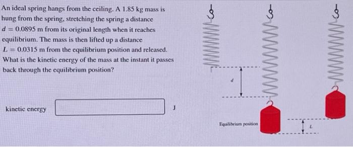 Solved An ideal spring hangs from the ceiling. A 1.85 kg | Chegg.com