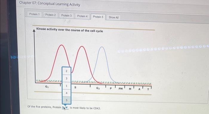 The following graph describes how the total amount of | Chegg.com