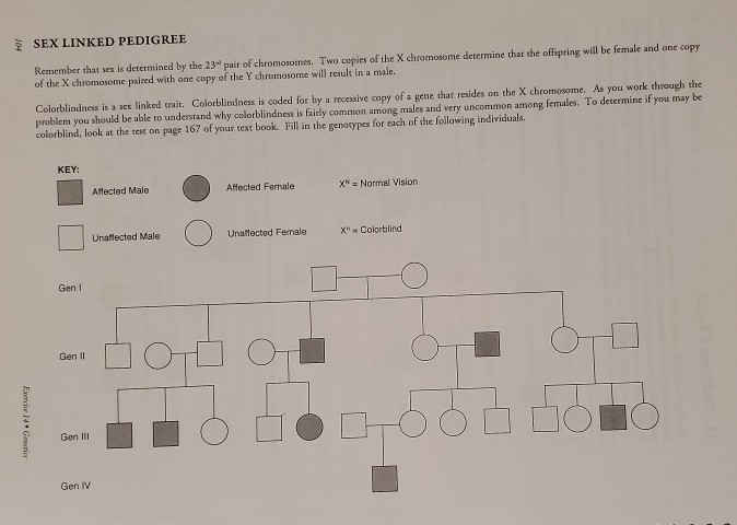 Solved SEX LINKED PEDIGREE Remember that sex is determined | Chegg.com
