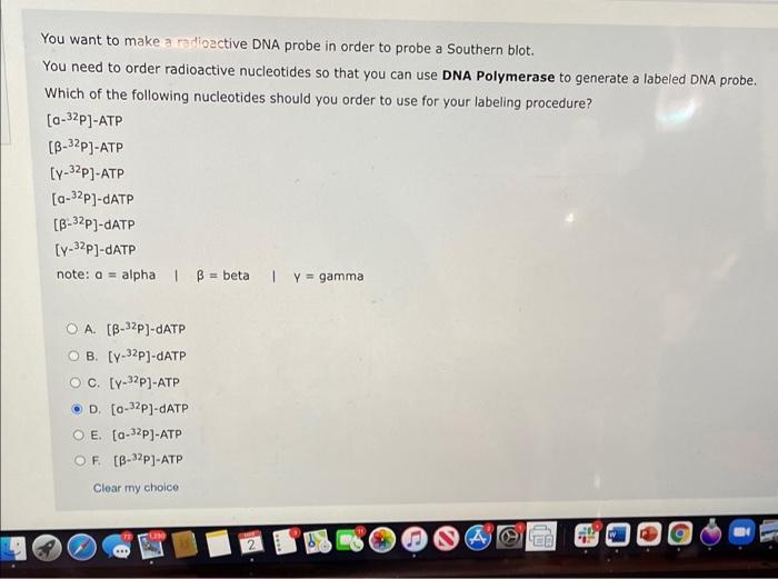 Solved You want to make a radioactive DNA probe in order to | Chegg.com