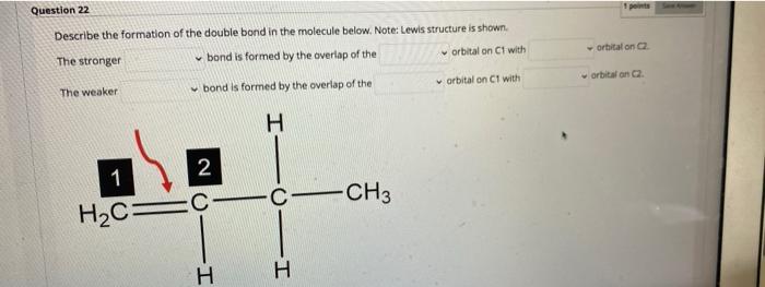 Solved Question 22 pot Describe the formation of the double | Chegg.com
