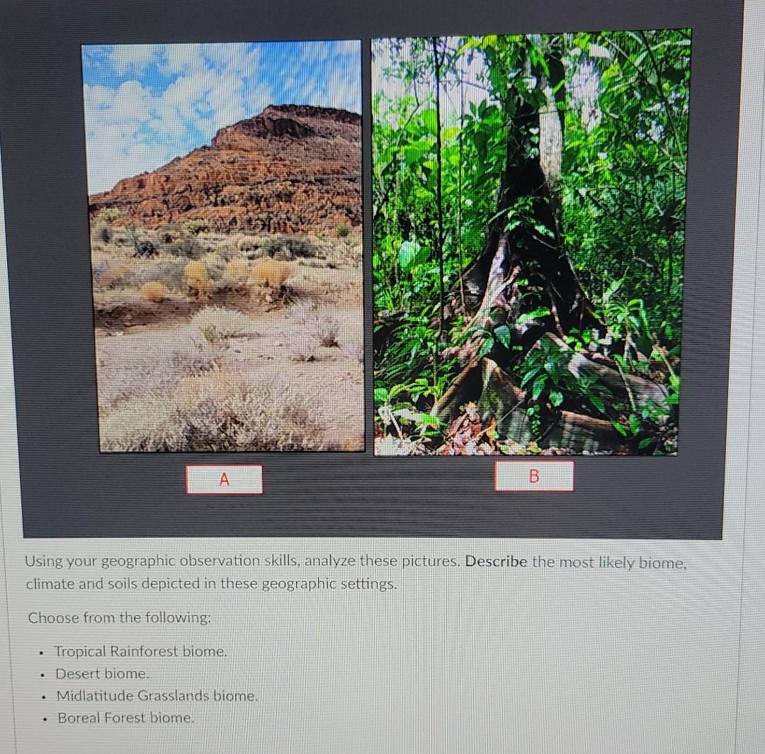 Solved A B Using your geographic observation skills, analyze | Chegg.com