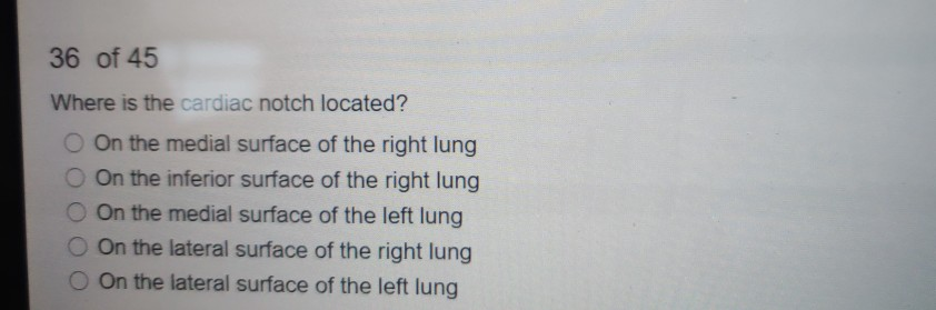 Solved 36 of 45 Where is the cardiac notch located? On the | Chegg.com