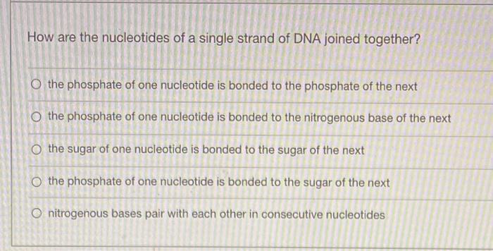 Solved How are the nucleotides of a single strand of DNA | Chegg.com