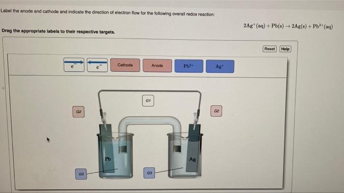 Solved Label the anode and cathode and indicate the | Chegg.com
