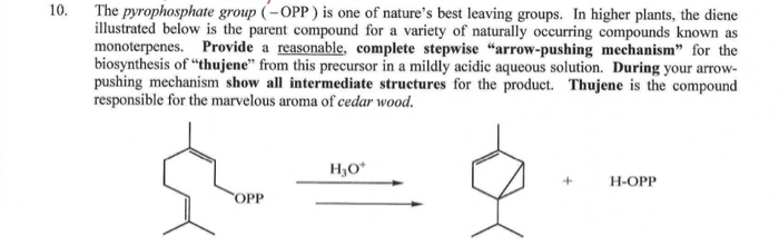 Solved 10. The pyrophosphate group (-OPP) is one of nature's | Chegg.com