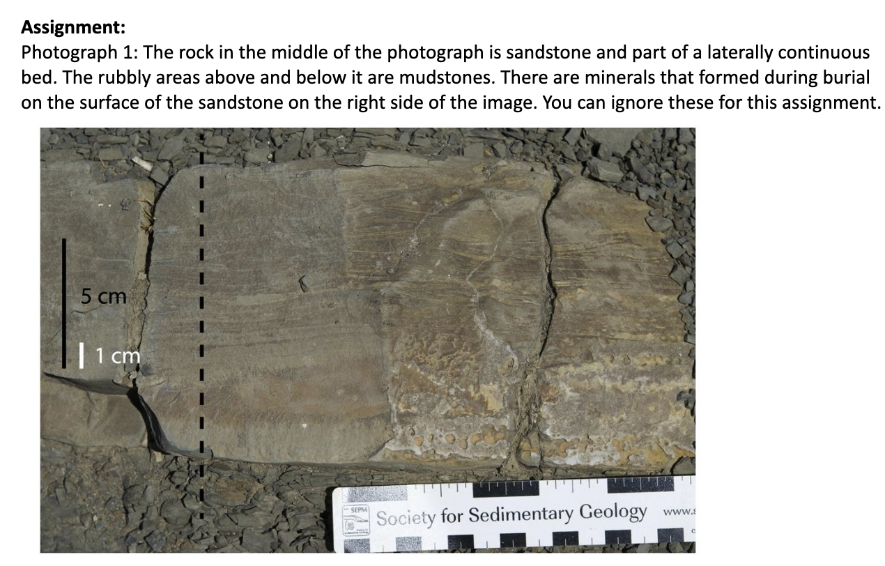 Solved Draw a stratigraphic column of the turbidite shown in | Chegg.com