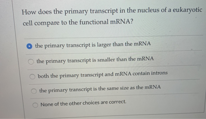 Solved: How Does The Primary Transcript In The Nucleus Of ... | Chegg.com
