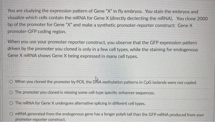 Solved You are studying the expression pattern of Gene " X " | Chegg.com