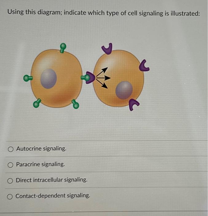 Solved Using this diagram; indicate which type of cell | Chegg.com