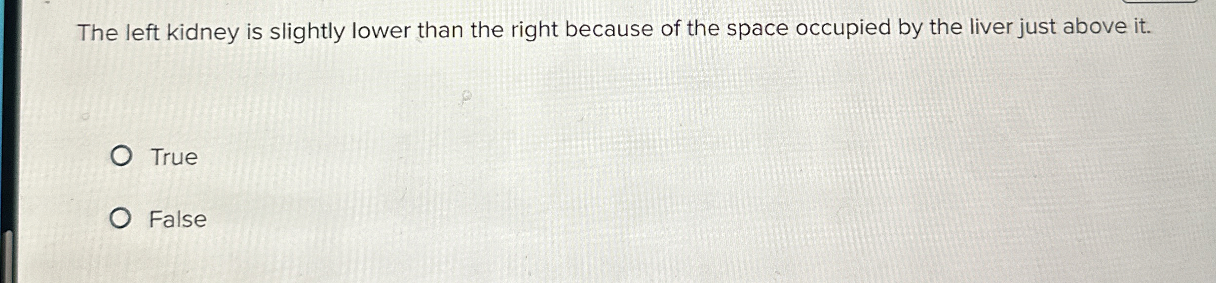 Solved The left kidney is slightly lower than the right | Chegg.com