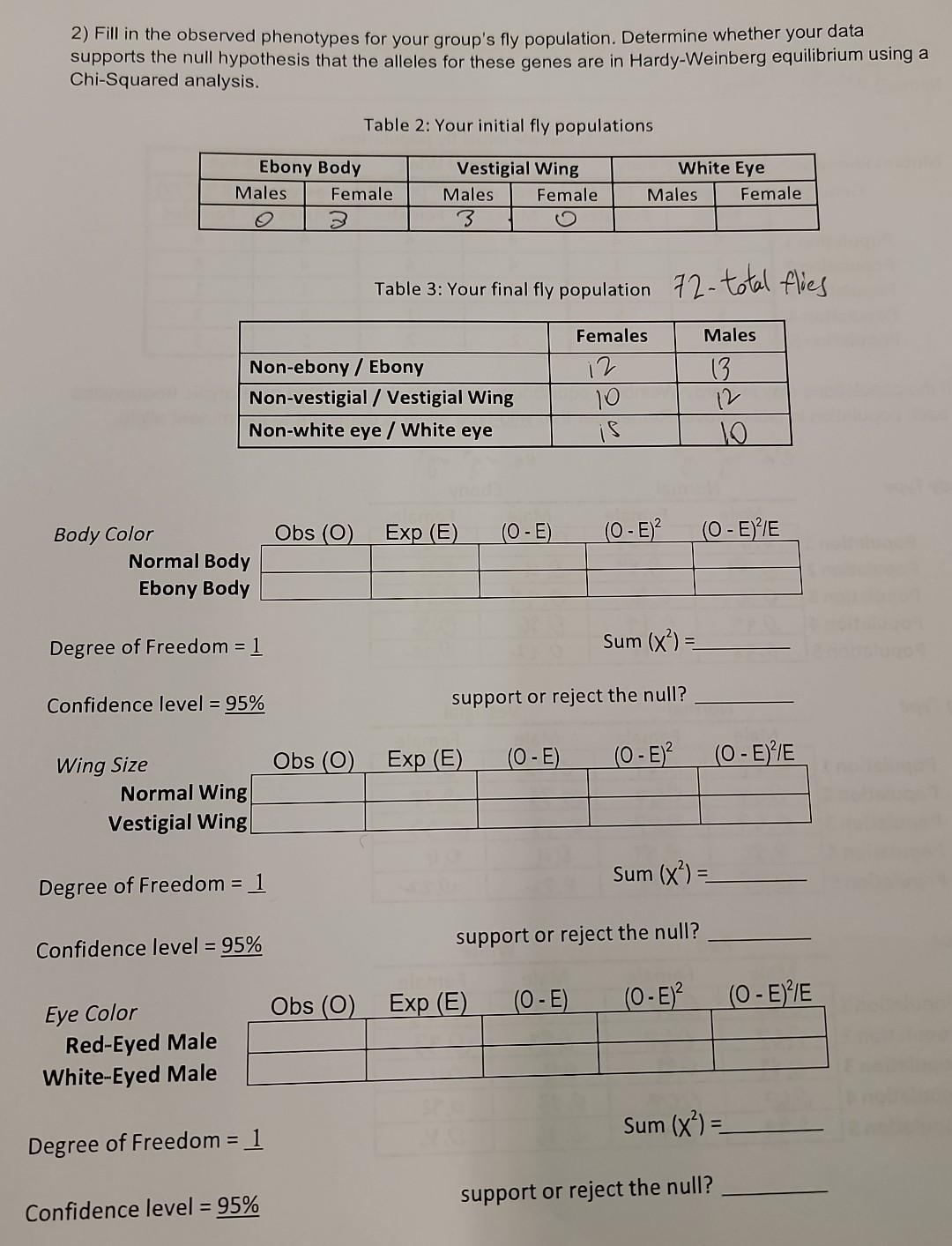 2) Fill in the observed phenotypes for your group's | Chegg.com