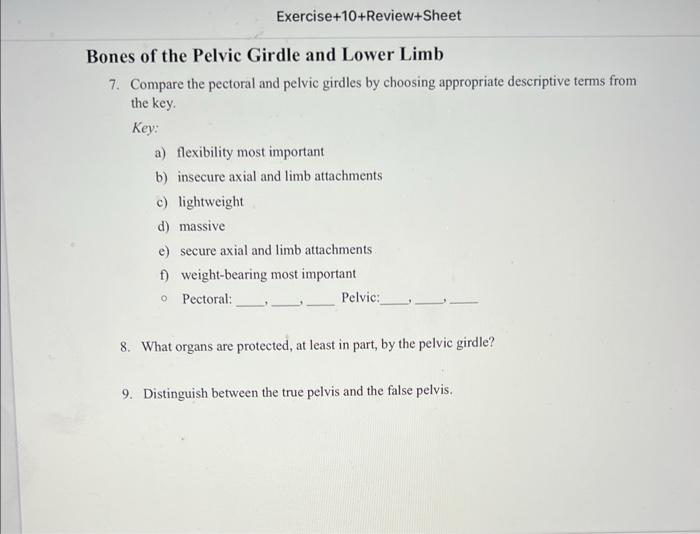 Solved Bones of the Pelvic Girdle and Lower Limb 7. Compare | Chegg.com