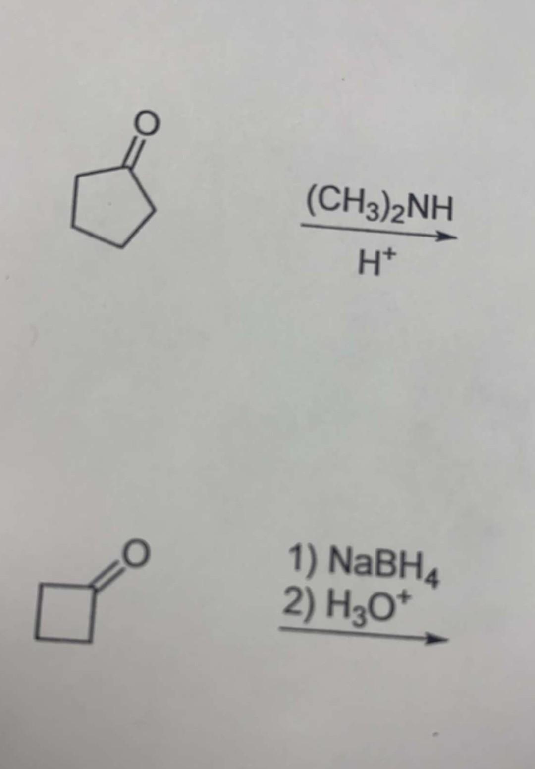 Solved (CH3)2NH H+ 1) NaBHA 2) H30+ | Chegg.com