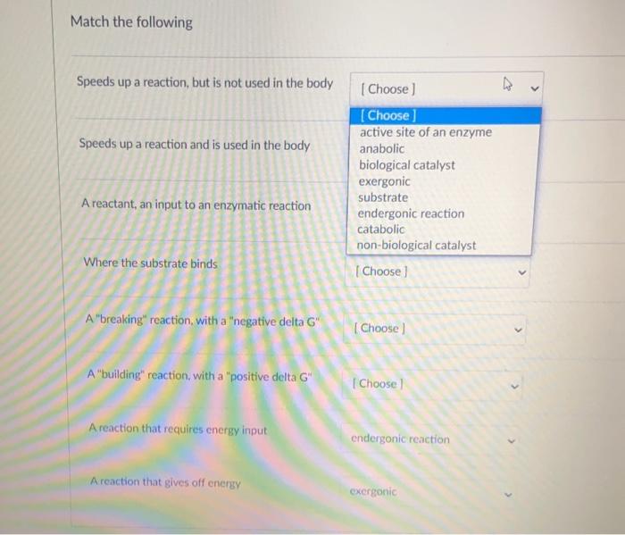 Solved Match the following Speeds up a reaction, but is not | Chegg.com