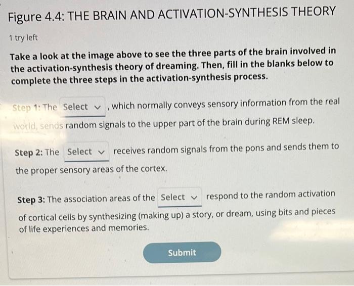 Solved Figure 4.4: THE BRAIN AND ACTIVATION-SYNTHESIS THEORY | Chegg.com