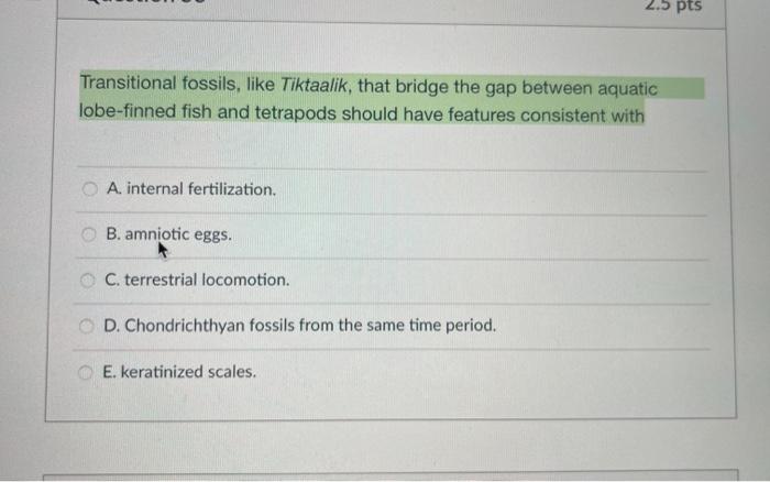 Solved 2.5 pts Transitional fossils, like Tiktaalik, that | Chegg.com