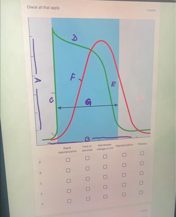 Solved Check all that apply | Chegg.com