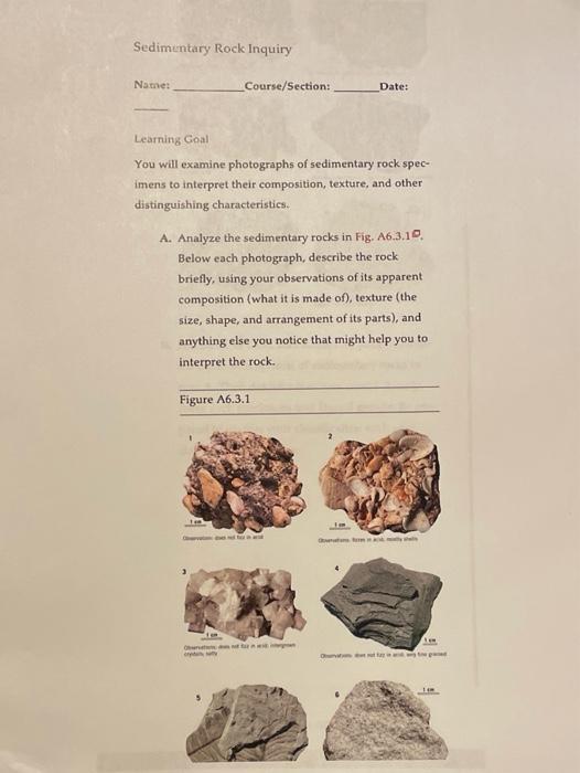Solved Sedimentary Rock Inquiry Name: Course/Section: Date: | Chegg.com