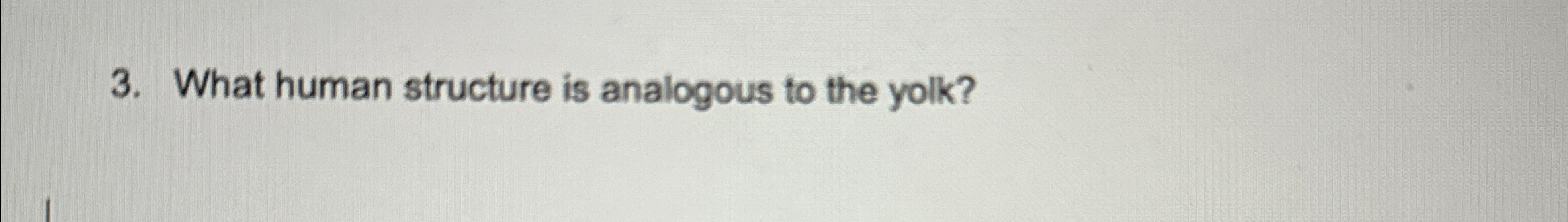 Solved What human structure is analogous to the yolk? | Chegg.com