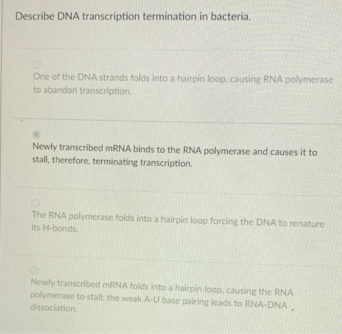 Solved Describe DNA transcription termination in bacteria. | Chegg.com