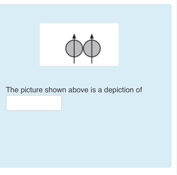 Solved The picture shown above is a depiction of | Chegg.com