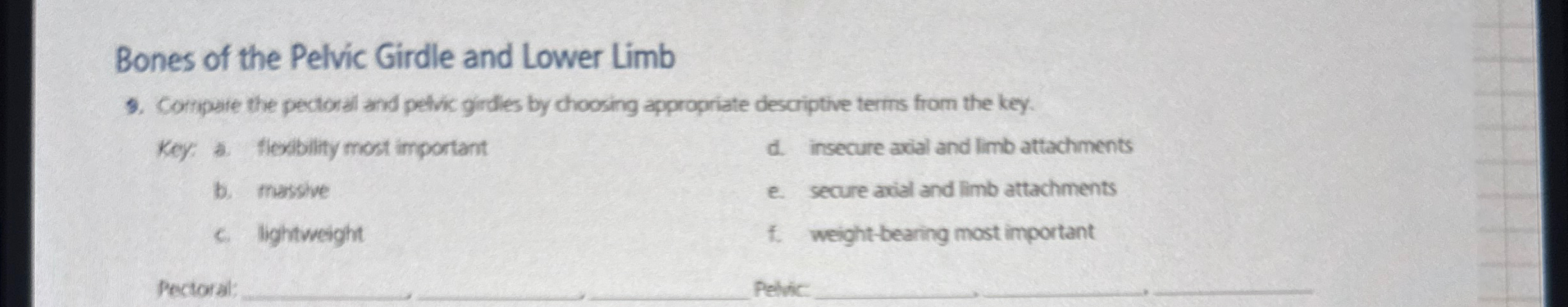 Solved Bones of the Pelvic Girdle and Lower LimbCompare the | Chegg.com