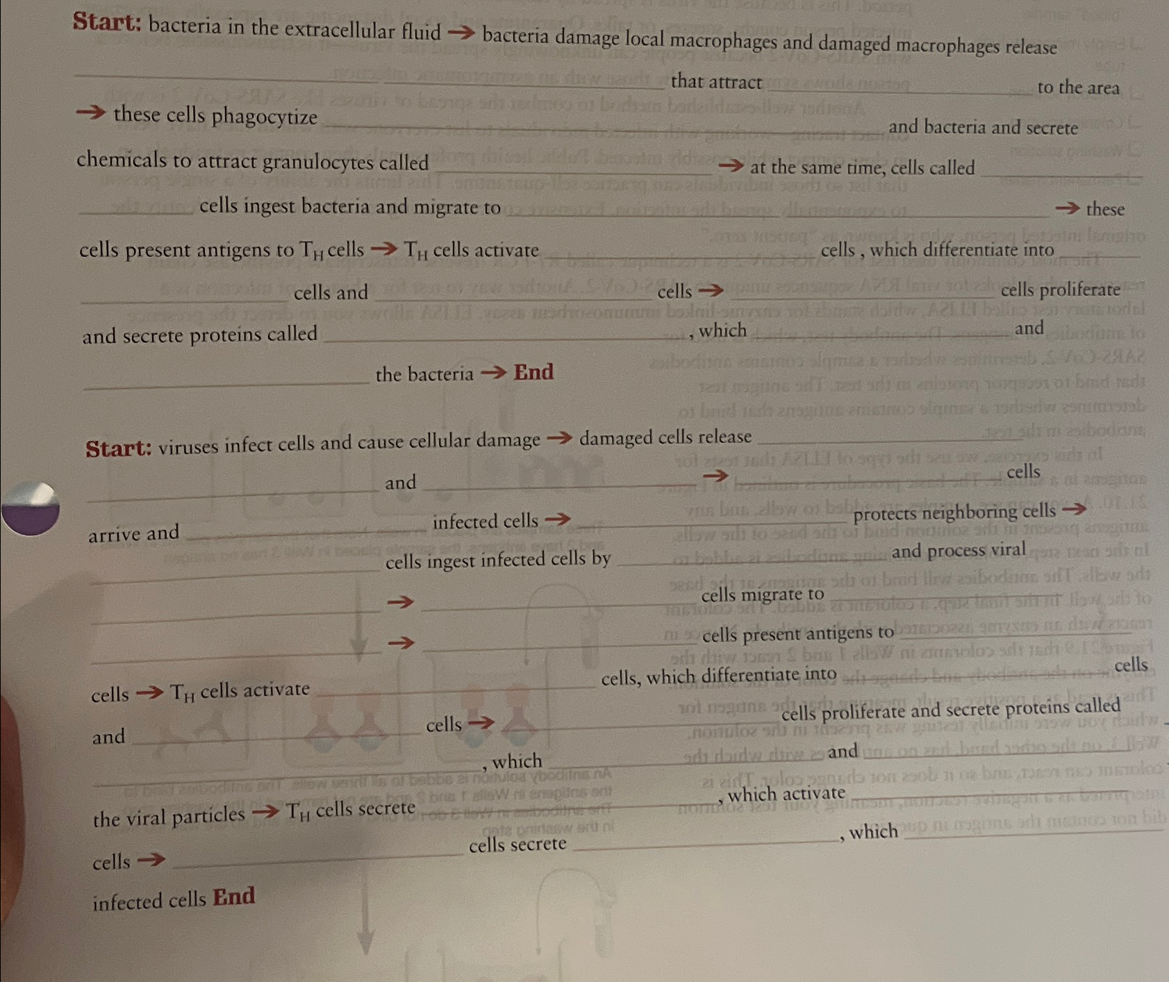 Solved Start: bacteria in the extracellular fluid → | Chegg.com
