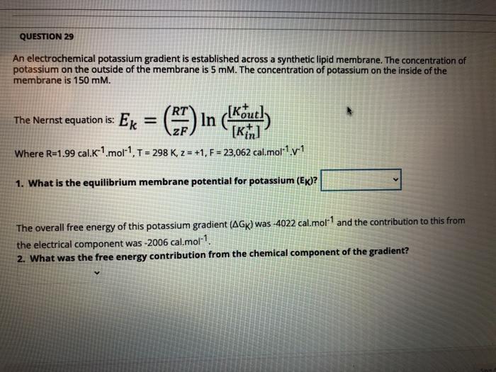 Solved QUESTION 29 An electrochemical potassium gradient is | Chegg.com