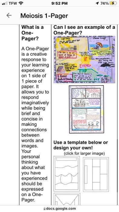 Solved 2. Create your One-Pager about Meiosis Materials to | Chegg.com