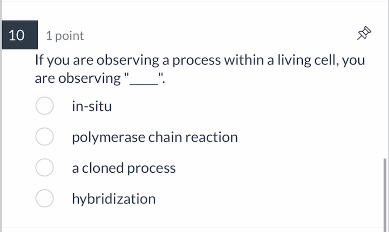 Solved 1 ﻿pointIf you are observing a process within a | Chegg.com