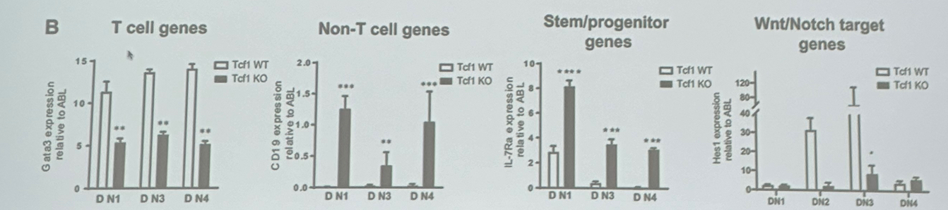 Solved We are preforming a qPCR experiment, the below 4 | Chegg.com
