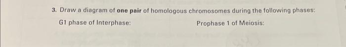 Solved 3. Draw a diagram of one pair of homologous | Chegg.com
