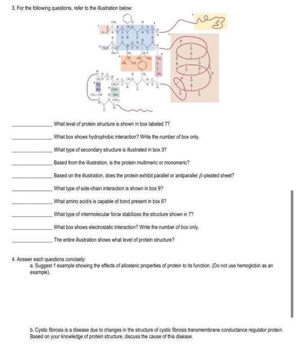 Solved Determining Protein's Primary Structure Directions: | Chegg.com