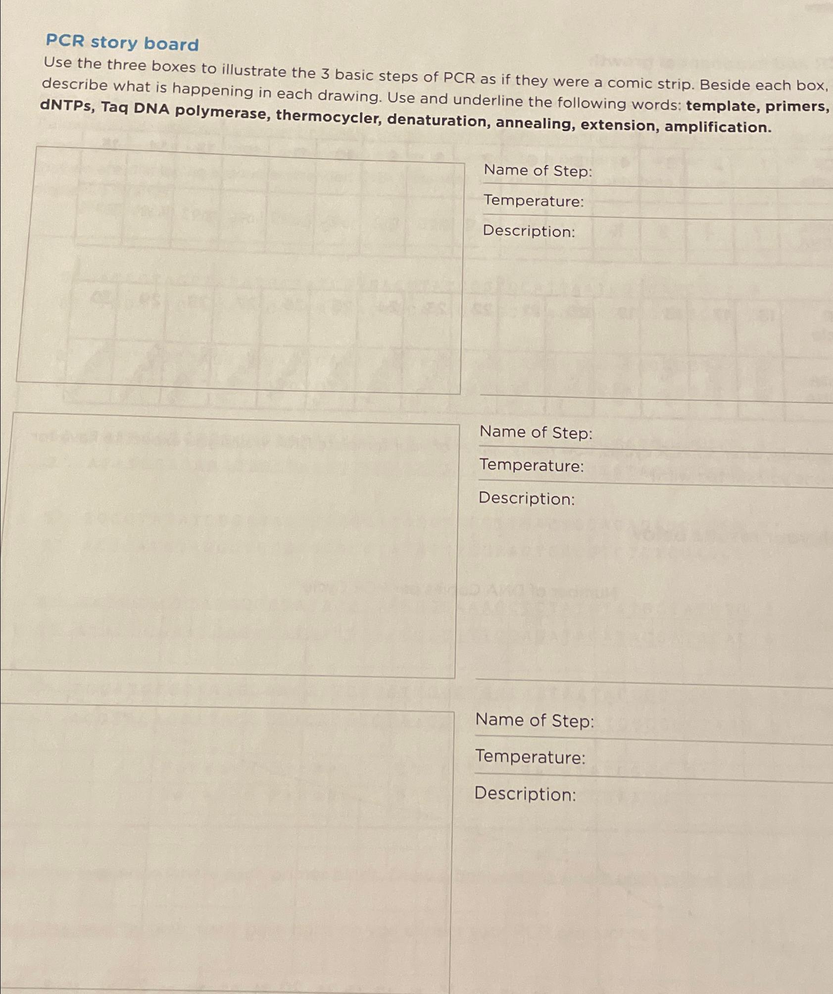 Solved PCR story boardUse the three boxes to illustrate the | Chegg.com