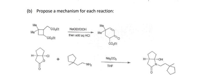 Solved (b) Propose a mechanism for each reaction: THF | Chegg.com