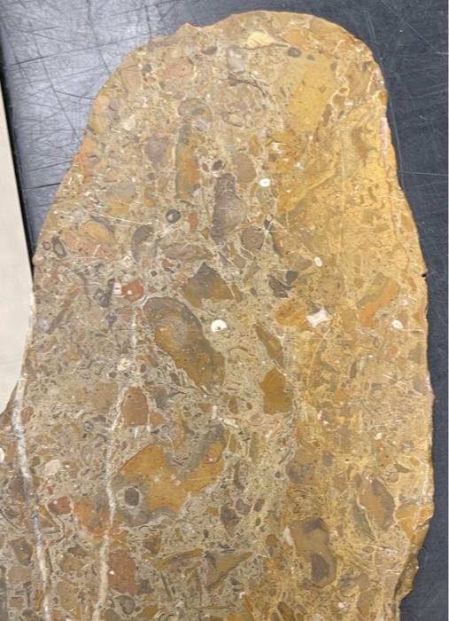 Solved can describe a rock base of this following:*Dunham | Chegg.com