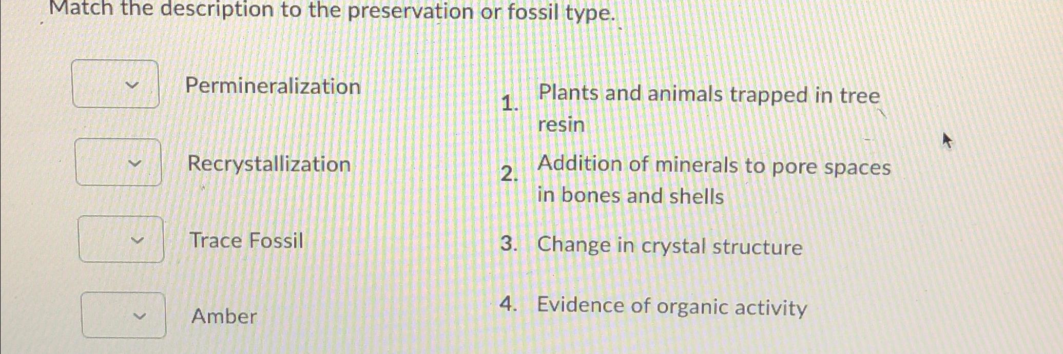 Solved Match the description to the preservation or fossil | Chegg.com