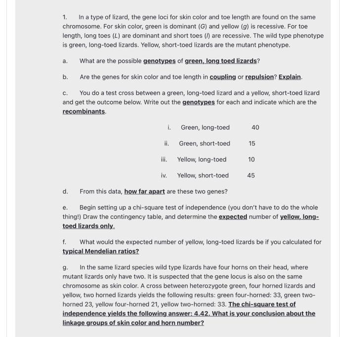 Solved 1. a. In a type of lizard, the gene loci for skin | Chegg.com