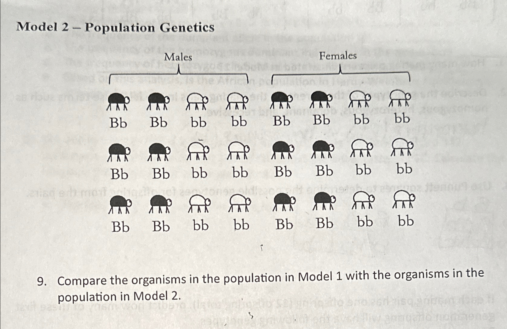 Solved Model 2 -Population Genetics9. ﻿Compare the organisms | Chegg.com