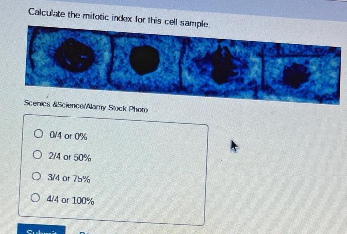 Solved Calculate the mitotic index for this cell sample. | Chegg.com