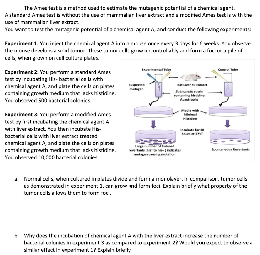 Solved The Ames test is a method used to estimate the | Chegg.com