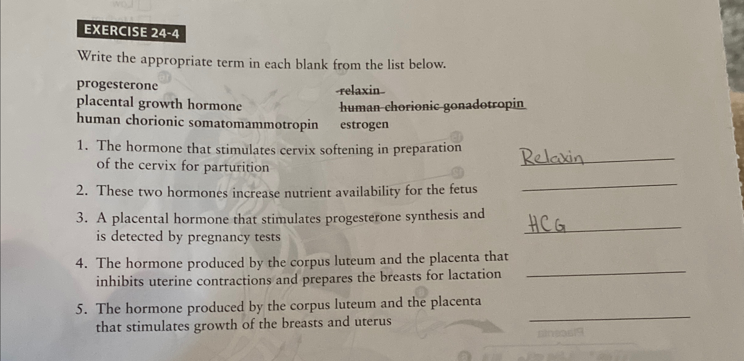 Solved EXERCISE 24-4Write the appropriate term in each blank | Chegg.com