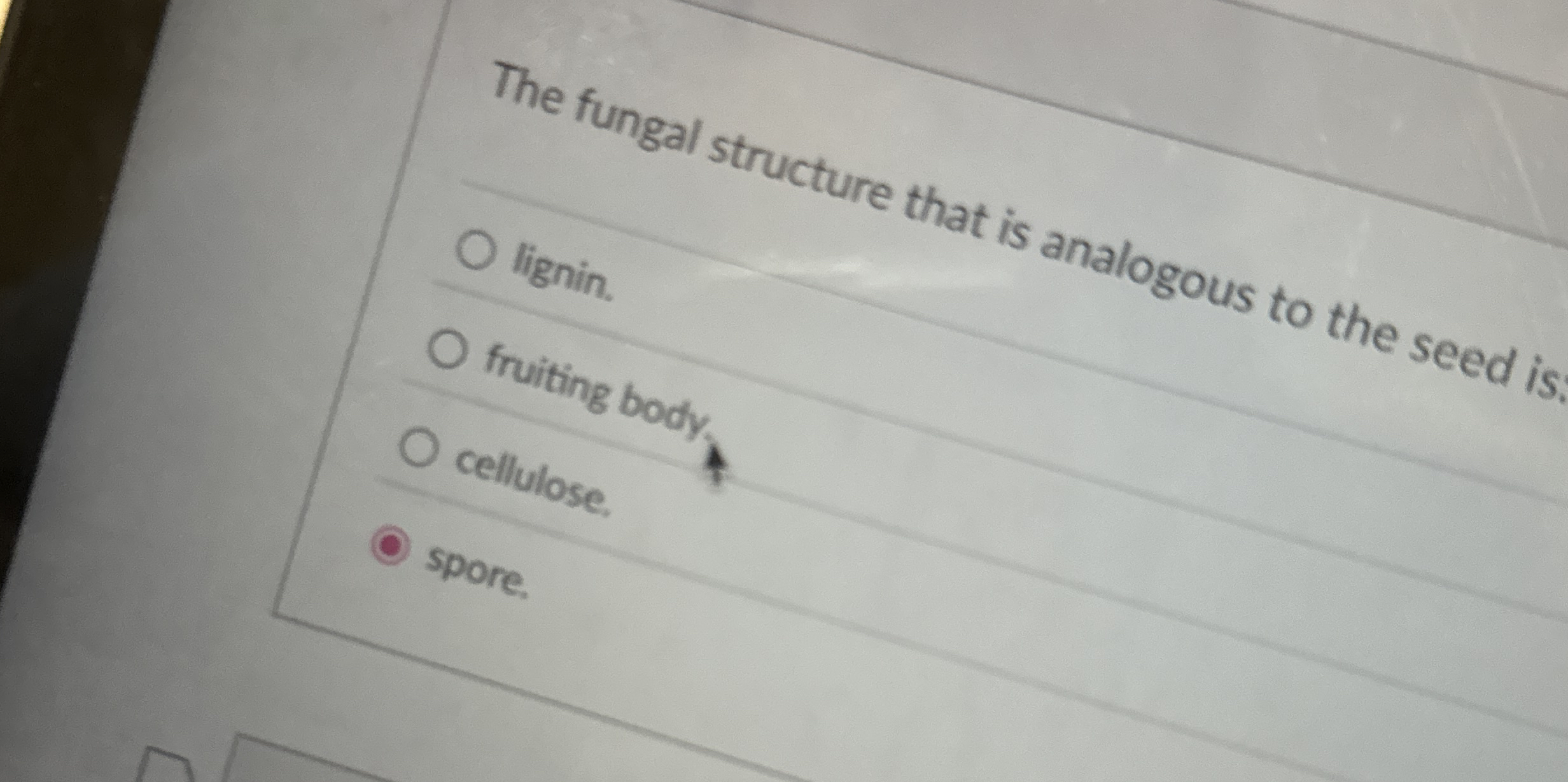 Solved The fungal structure that is analogous to the seed | Chegg.com
