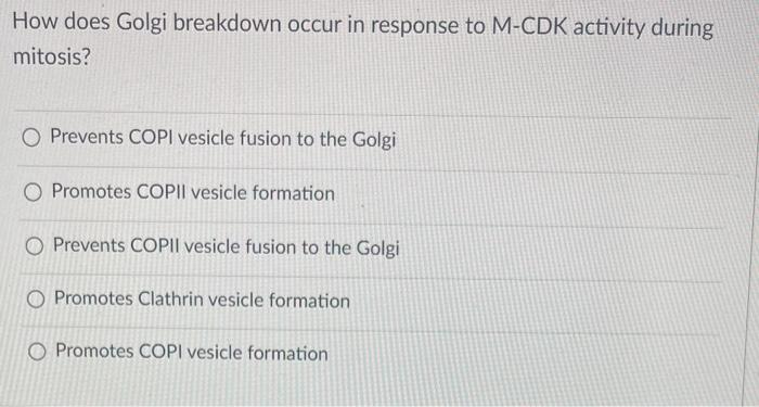 Solved How does Golgi breakdown occur in response to M-CDK | Chegg.com