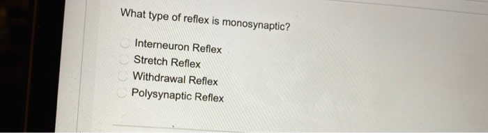 Solved What type of reflex is monosynaptic? Interneuron | Chegg.com