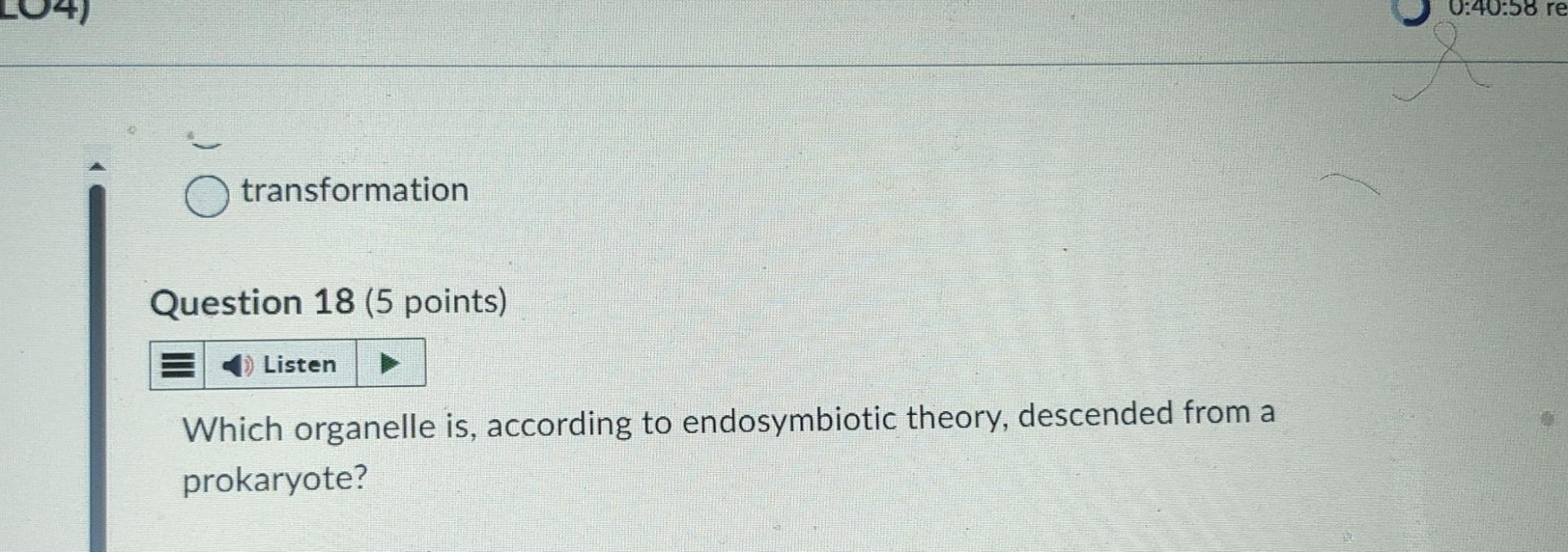 Solved transformationQuestion 18 (5 ﻿points)Which organelle | Chegg.com